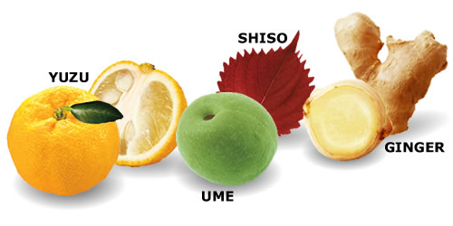 Welcome to ISEMAN CO., LTD.